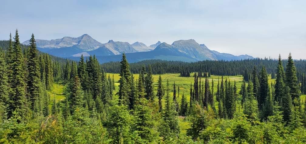 Chocolate Moose Cafe | Cameron Ridge